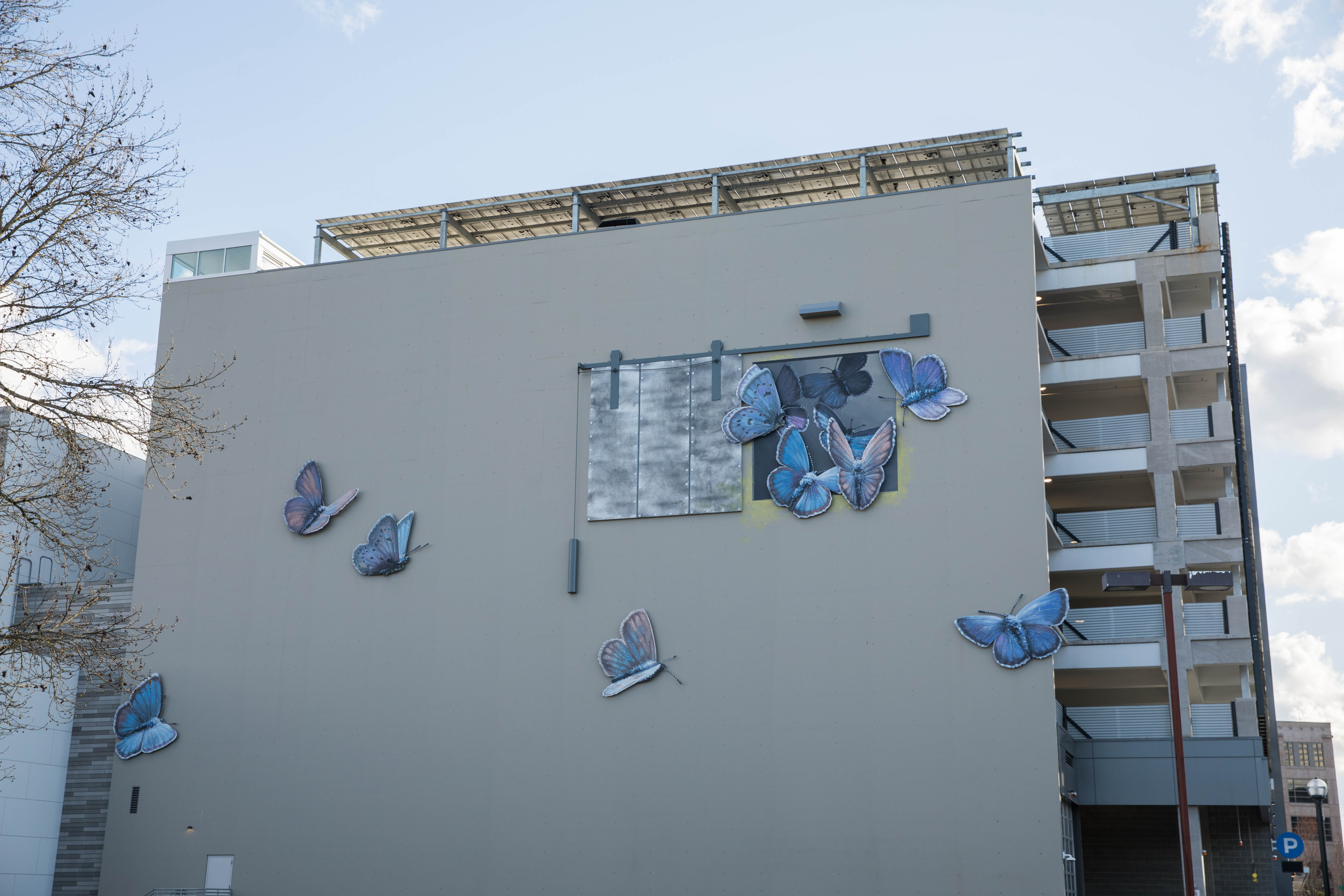 Experience